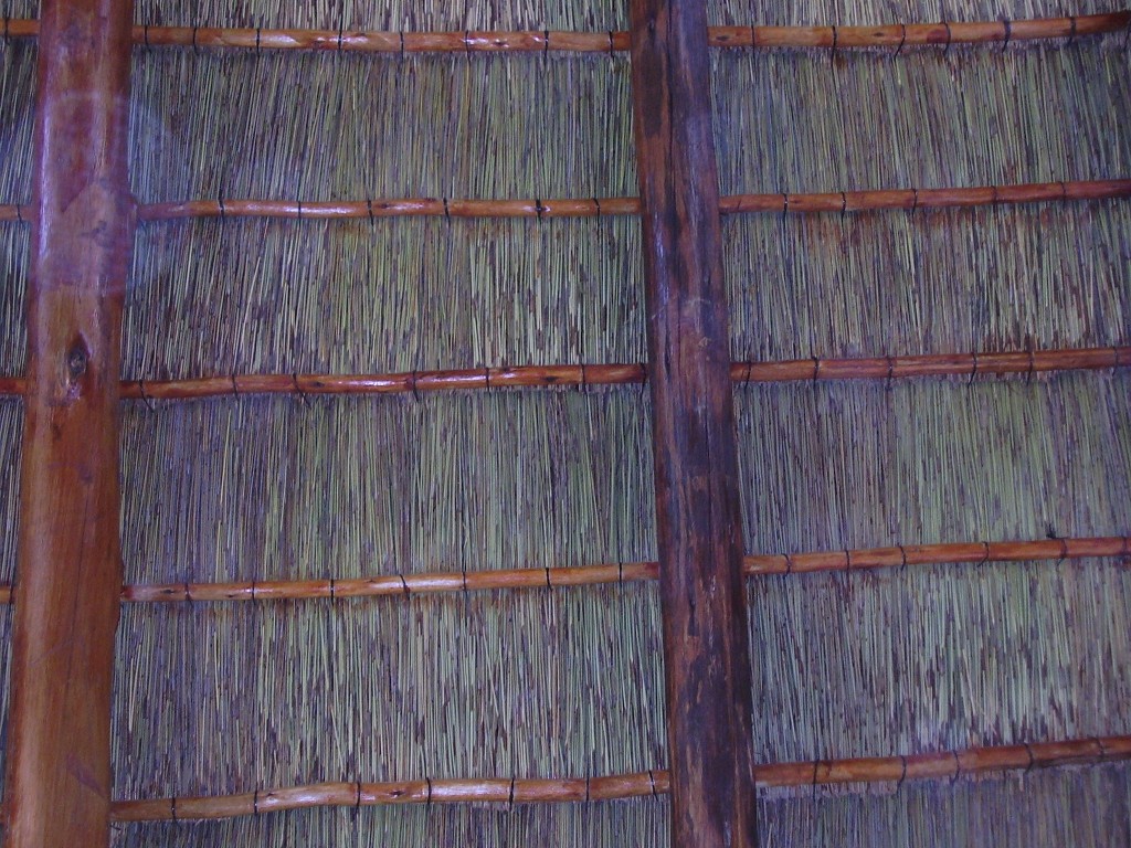 Tuisblad - Nel Lapas en Konstruksie